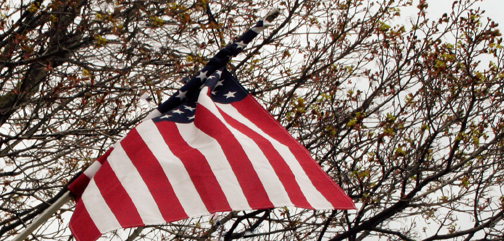 Memorial Day: A Day of Remembrance - Lireo Designs