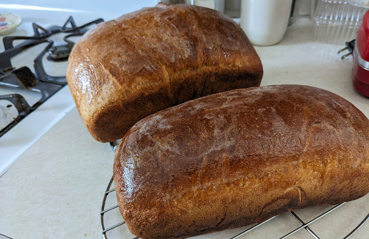 Birds and Loafing - Lireo Designs