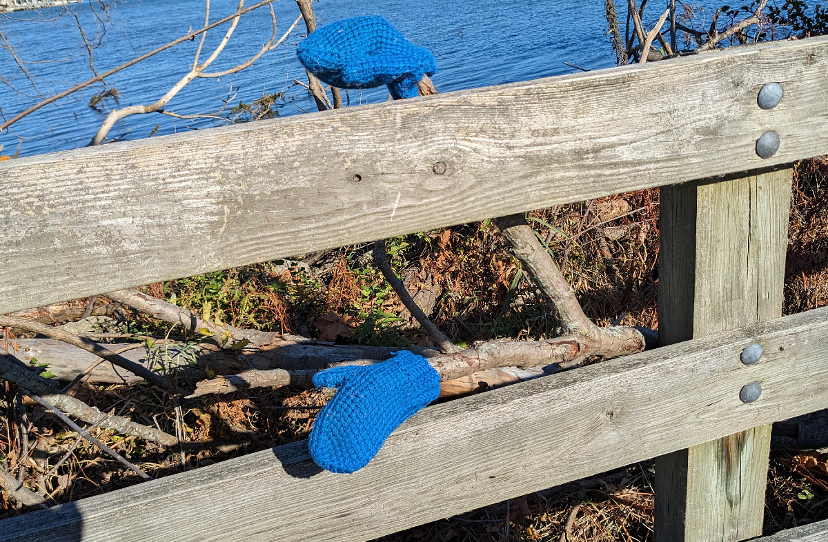 Photo of the Week: Lost Mittens - Lireo Designs