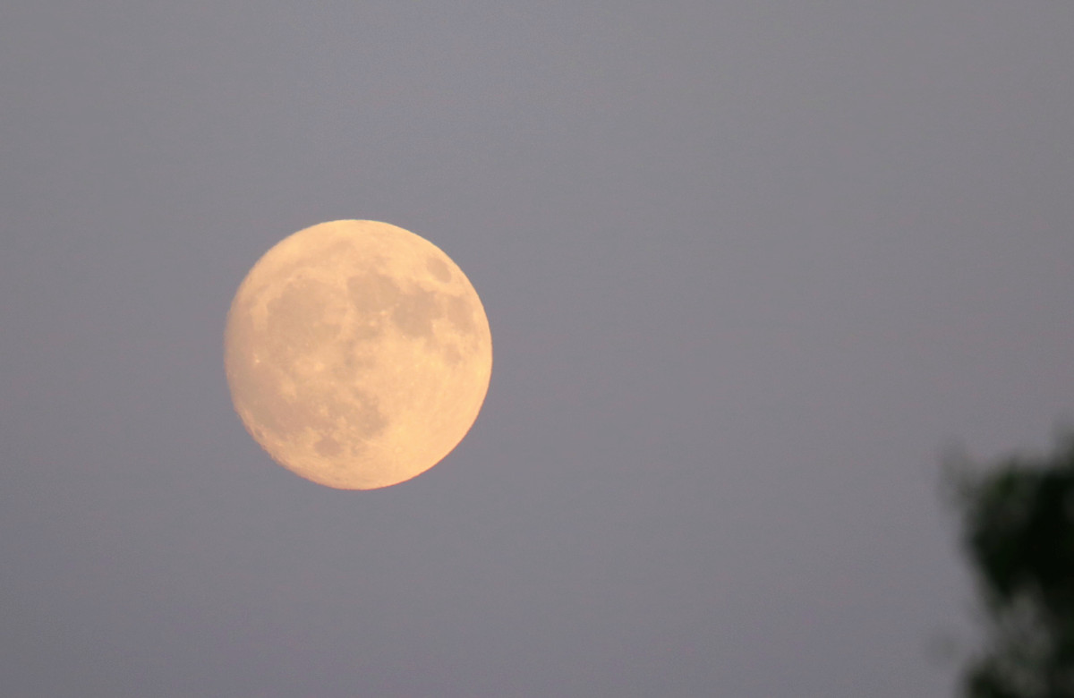 Photo of the Week: Buck Moon - Lireo Designs