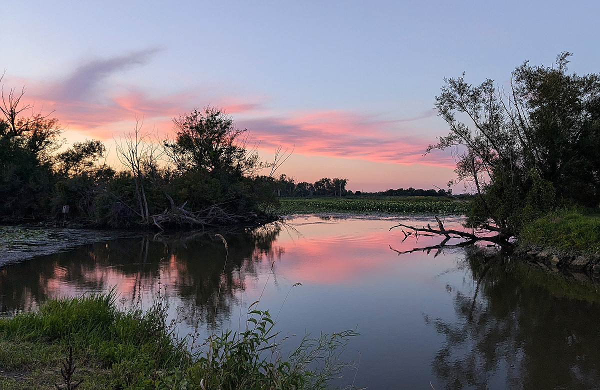 Photo of the Week: Summer Evening at Erie Marsh - Lireo Designs