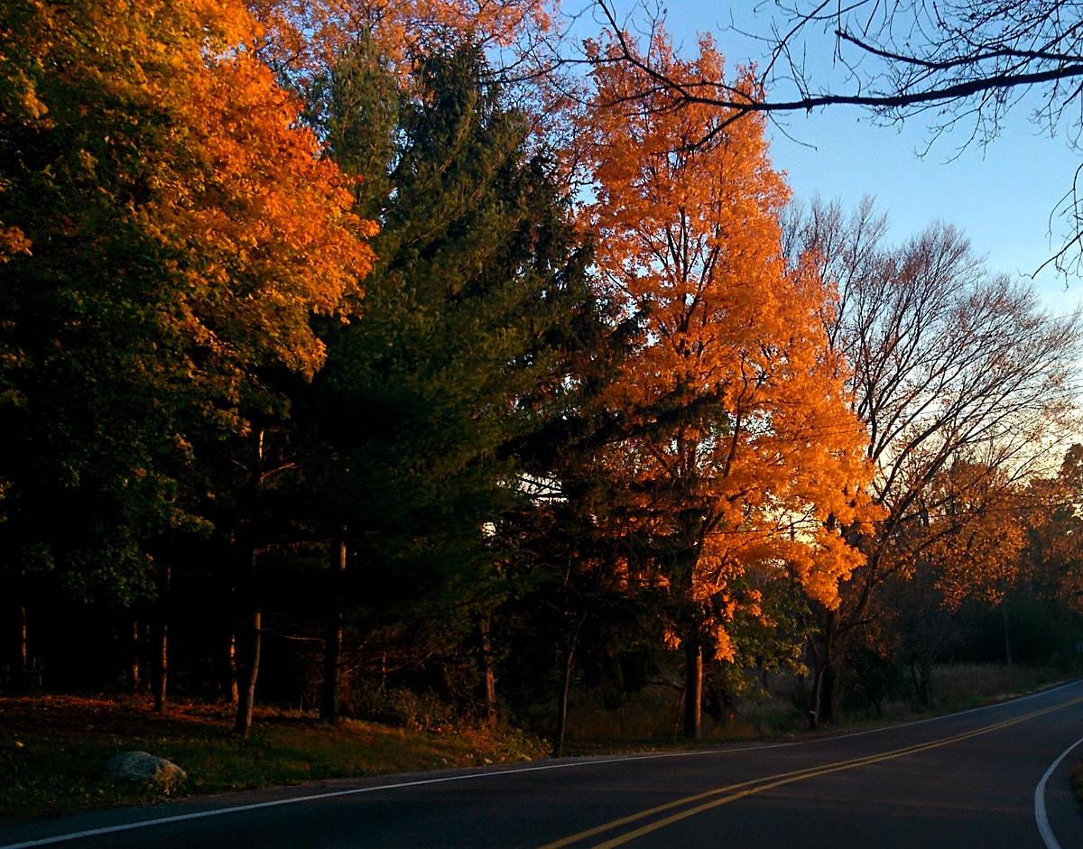 Photo of the Week: Backroad Adventure in Ypsilanti - Lireo Designs