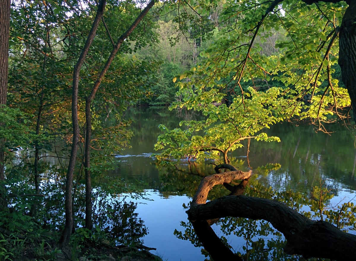 Photo of the Week: Evening Light at Furstenberg Park - Lireo Designs