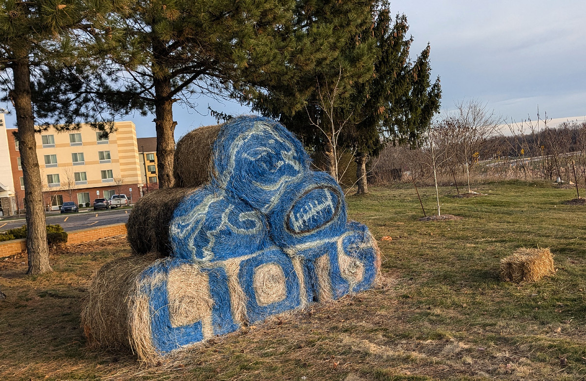 Photo of the Week: Go Detroit Lions! - Lireo Designs