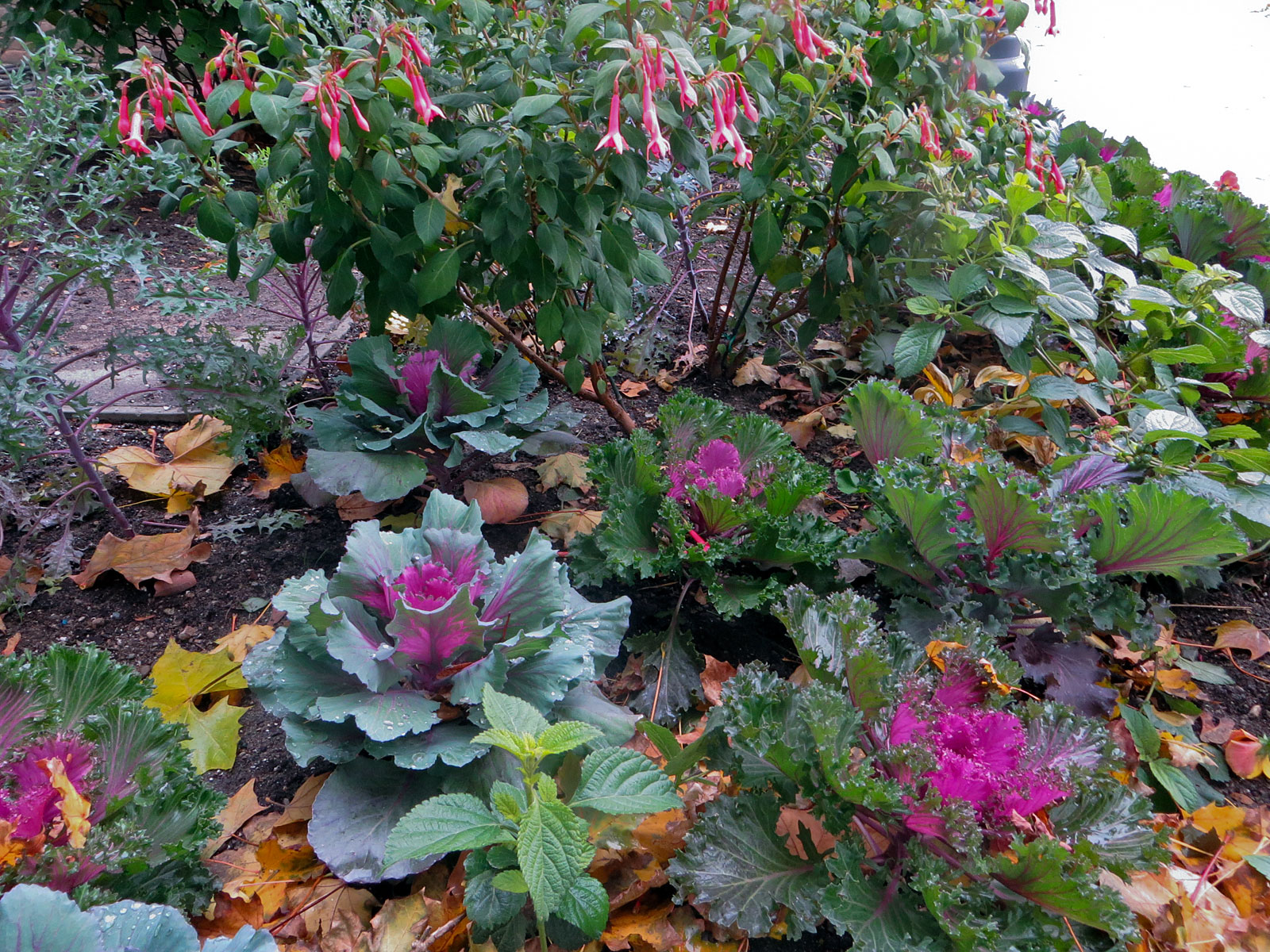 Greenfield Village on an Autumn Day - Lireo Designs