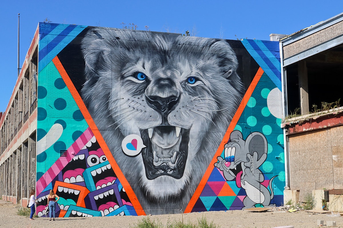 Photo of the Week: Murals in the Market at Eastern Market - Lireo Designs