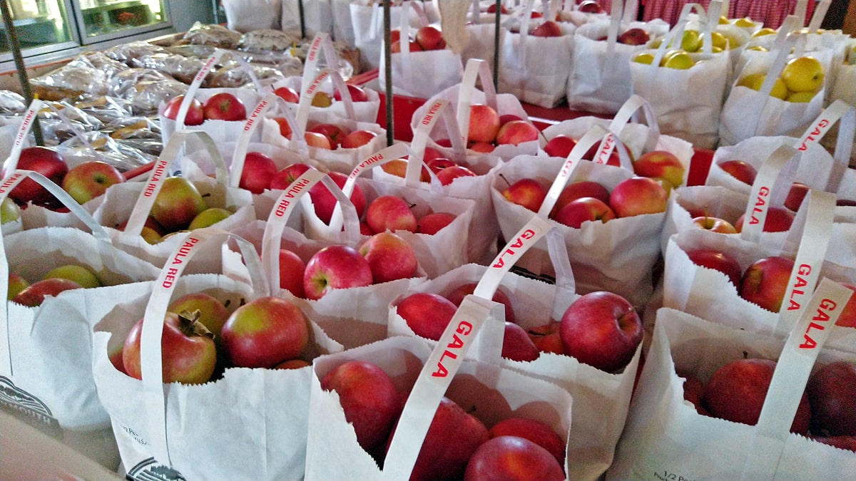 Photo of the Week: Apples at Plymouth Cider Mill - Lireo Designs
