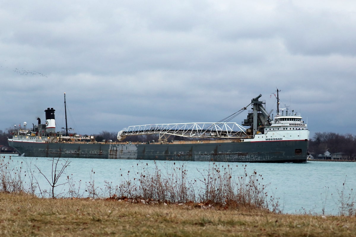 Photo of the Week: Mississagi Freighter on the Detroit River - Lireo ...