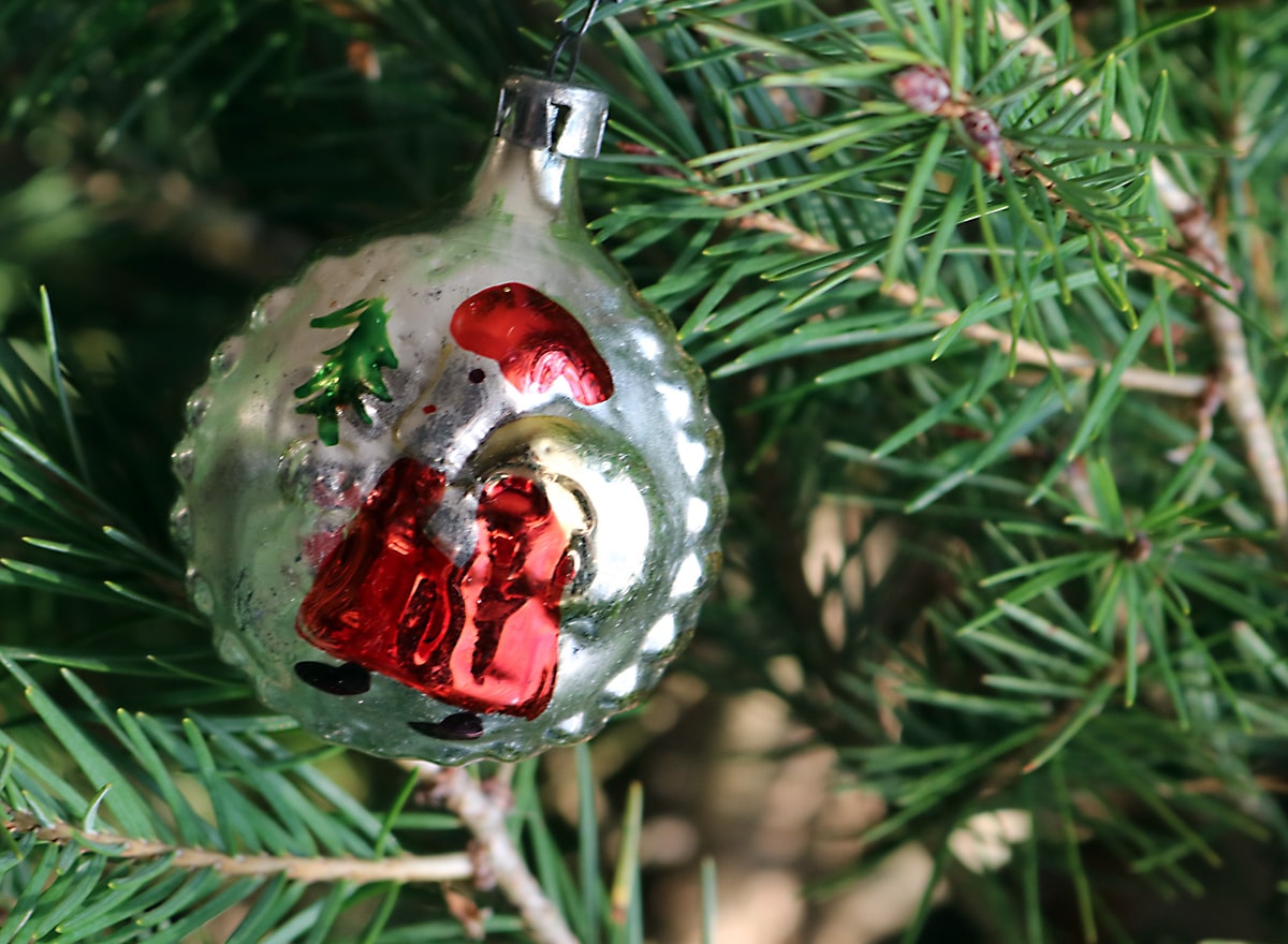 Photo of the Week: First Ornament on our Christmas Tree - Lireo Designs