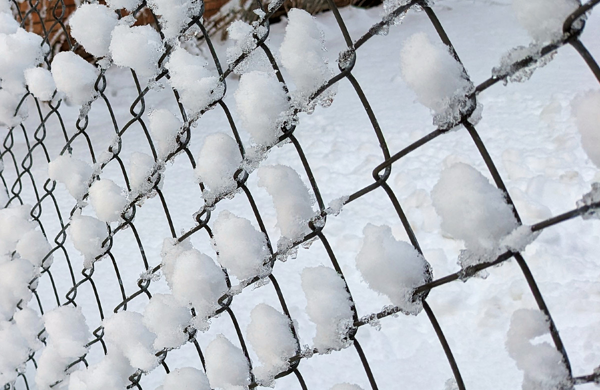 Photo of the Week: Snow Puffs - Lireo Designs