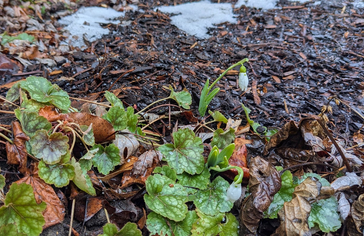 On This Day: February 26 - Lireo Designs