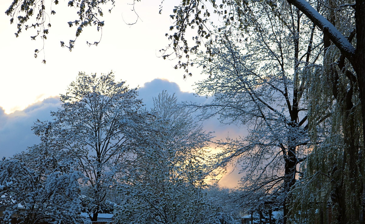 Photo of the Week: Spring Snowstorm in Michigan - Lireo Designs