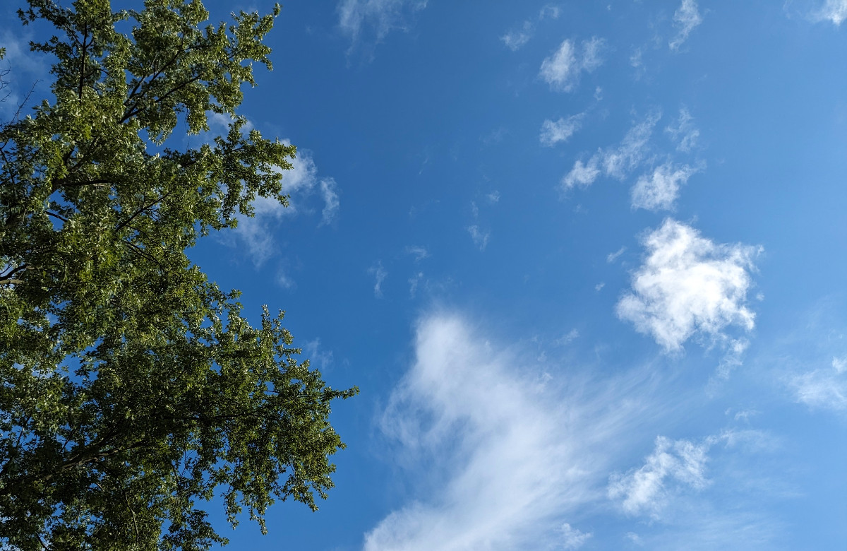 Photo of the Week: Blue Skies - Lireo Designs