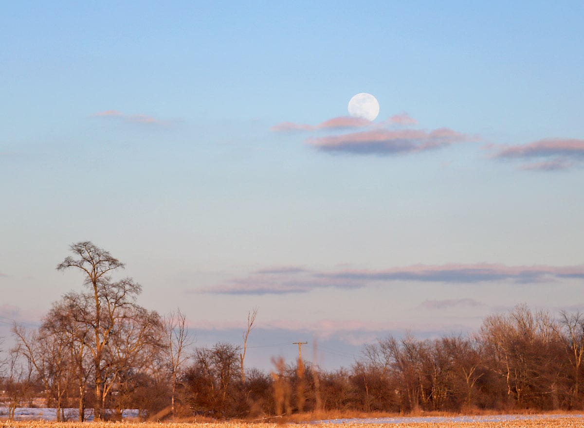 Photo of the Week: Supermoon Rising Over the Cornfields - Lireo Designs