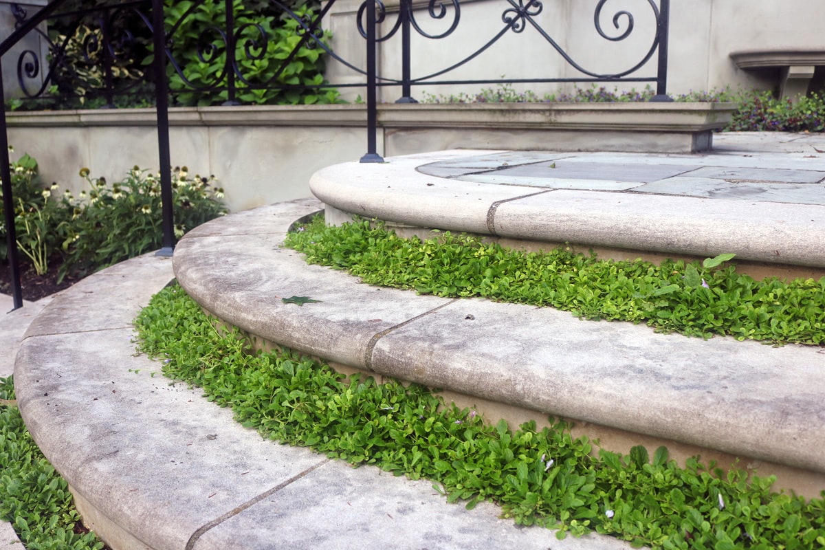 Photo of the Week: Franklin Park Conservatory and Botanical Gardens ...