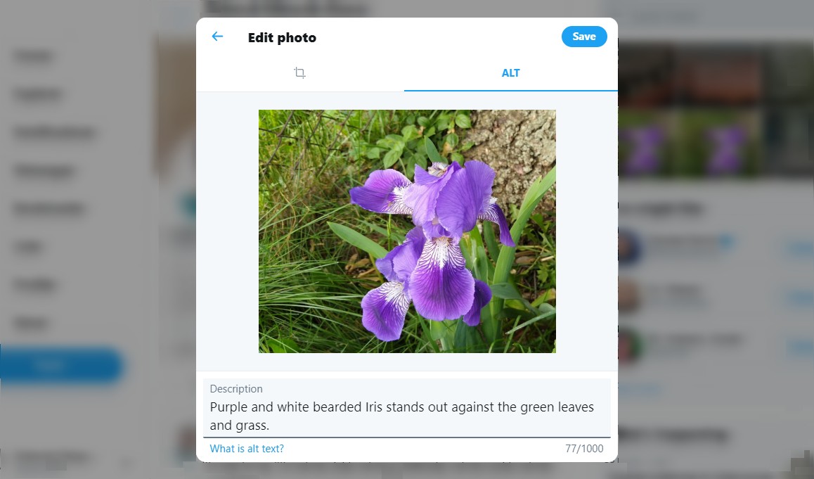 10 Things To Know About Twitter s Alternative Text For Images Lireo