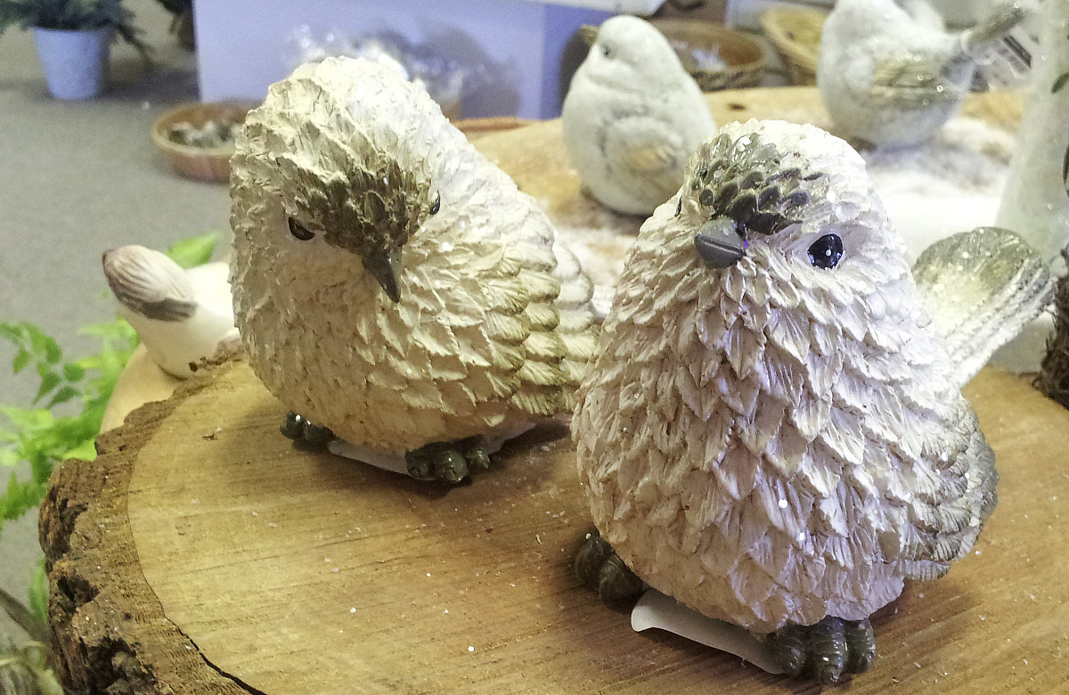 Photo of the Week: Two White Birds - Lireo Designs