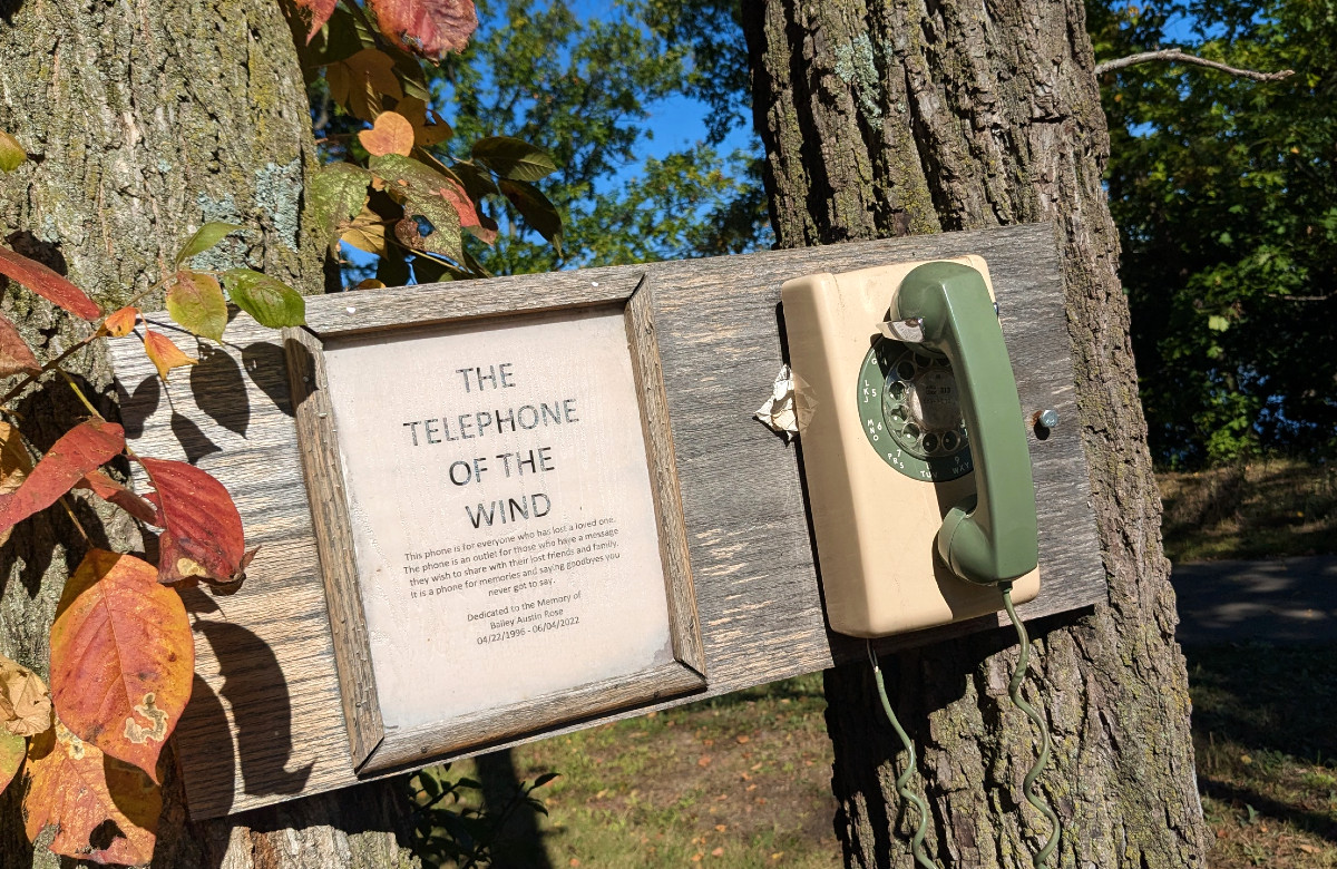 Photo of the Week: Telephone of the Wind - Lireo Designs