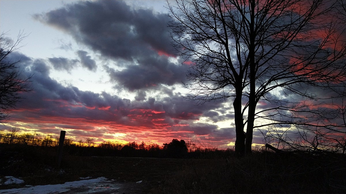 Nature Winter Sunset