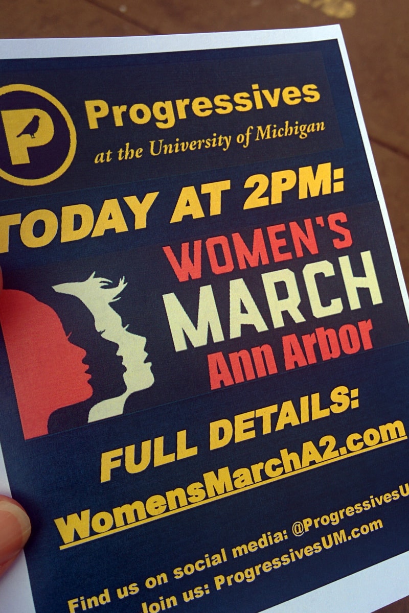 Photo of the Week: Women’s March Ann Arbor - Lireo Designs